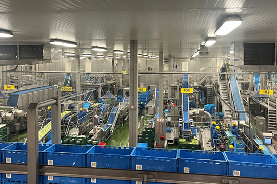 Koninklijke Vezet Factory - Disano Illuminazione - Fosnova